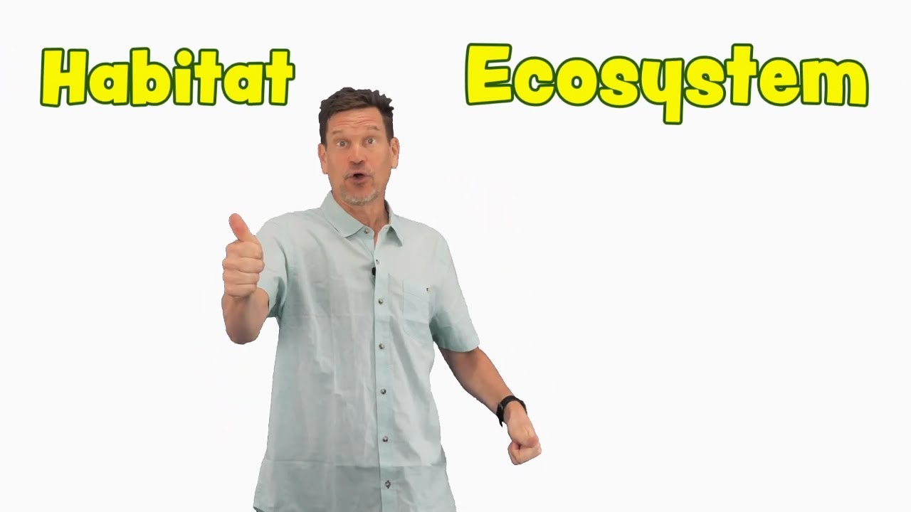 What is an ecosystem and how is it different from a habitat?
