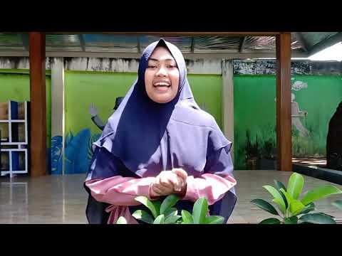 Menghafal Q.S At Takatsur Ayat 5 Beserta Terjemah Lafdziyyah