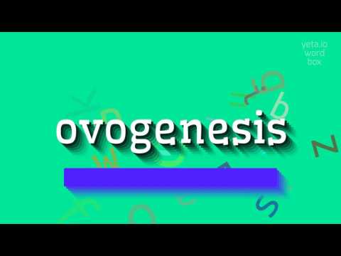 How to say "ovogenesis"! (High Quality Voices)