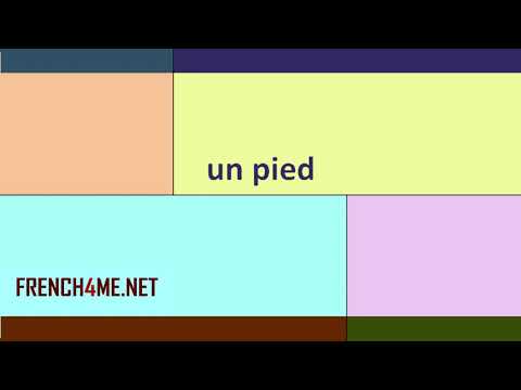 French For Beginners I How to pronounce I un pied