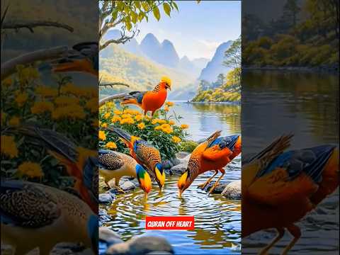 Surah al Takasur التكاثر At-Takāthur #takasur #attakatsur #shorts