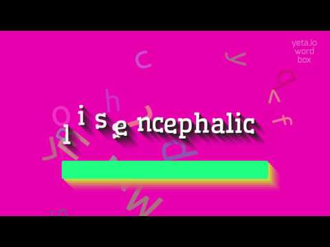 LISSENCEPHALIC - HOW TO SAY LISSENCEPHALIC?