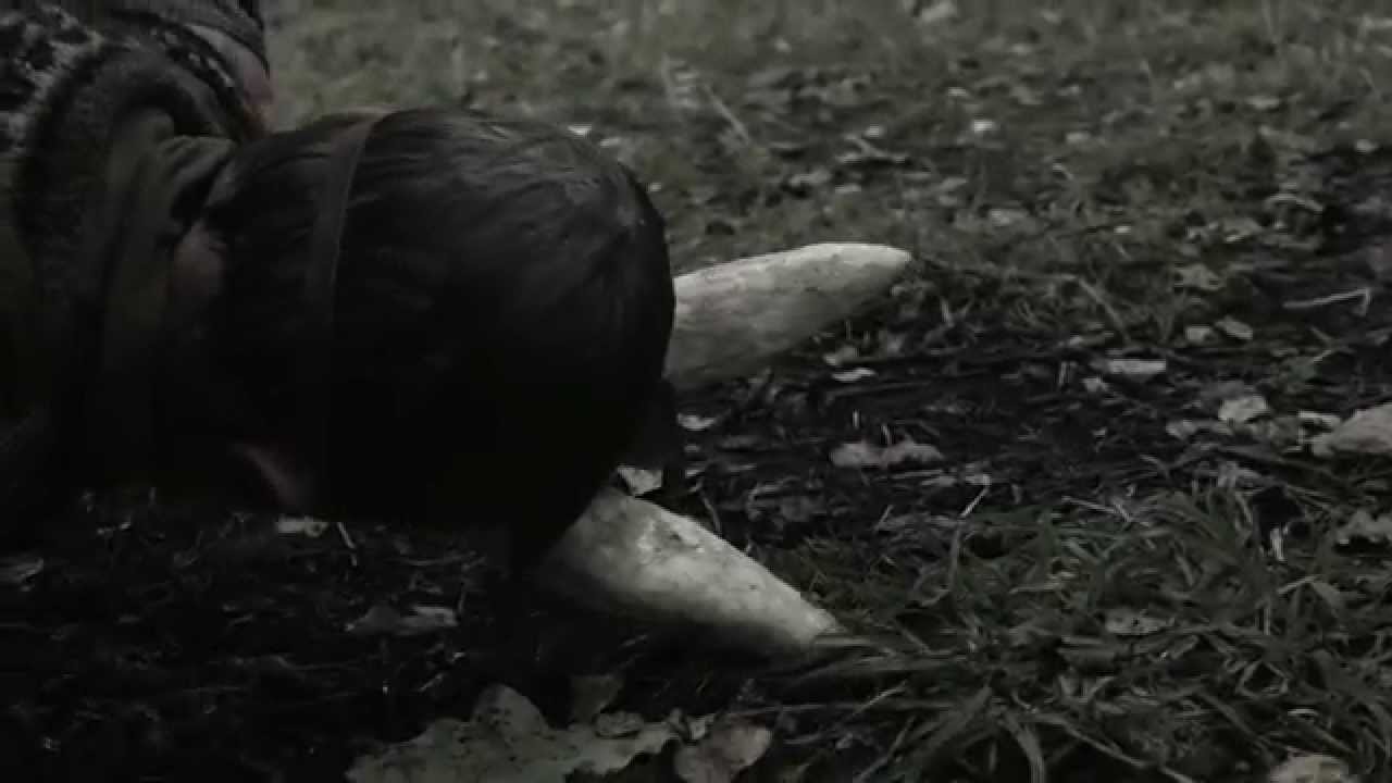 VAMPIRE - The Fen (OFFICIAL VIDEO)