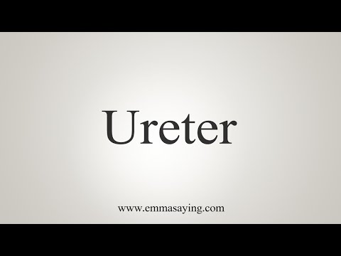 How To Say Ureter