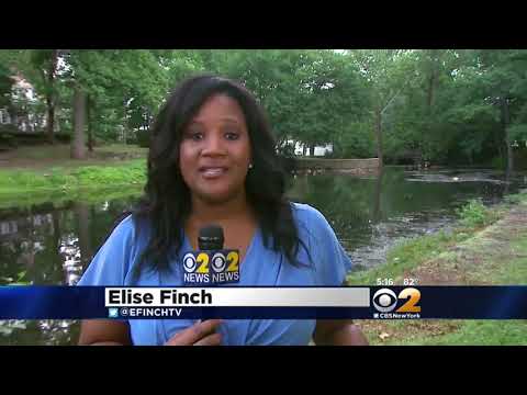 CBS2 News: Nutley, NJ Hires Geese Chasers