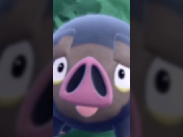 Who are Pig Pokemon? Exploring the unique pocket monsters across all ...