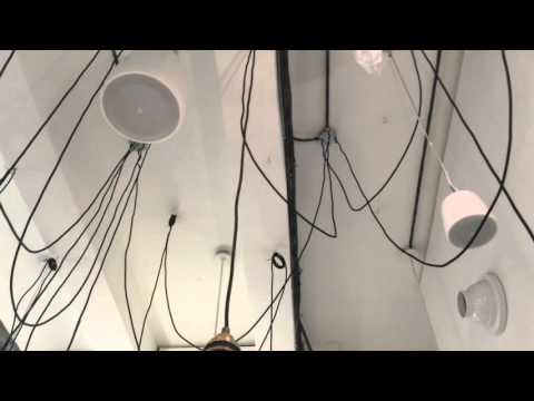 JBL C65 P/T Black | Reverb