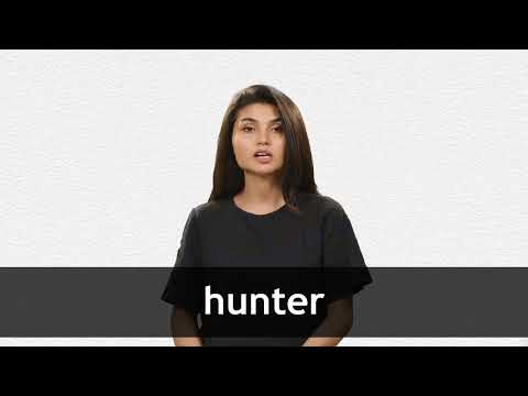 HUNTER definition and meaning | Collins English Dictionary