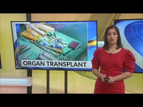 Organ transplants reach a record high in 2020