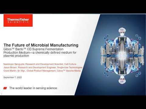 The future of microbial manufacturing: Chemically defined medium for protein and plasmid production