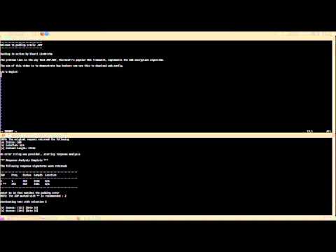 .NET Padding Oracle Attack