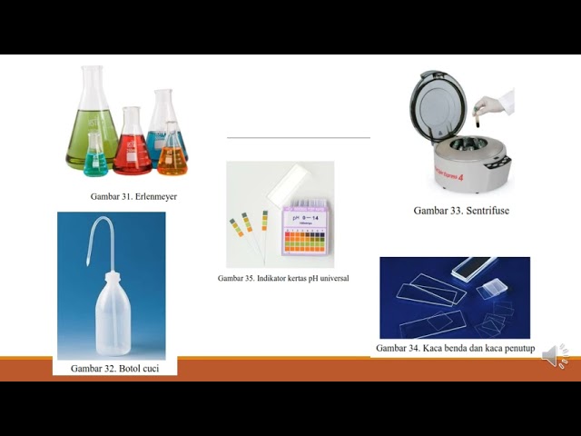 Introduction to Microbiology Laboratory Equipment: Essential Tools for ...