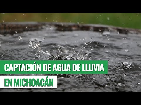 En un volcán de Michoacán, el sistema de captación de agua de lluvia más grande de América Latina