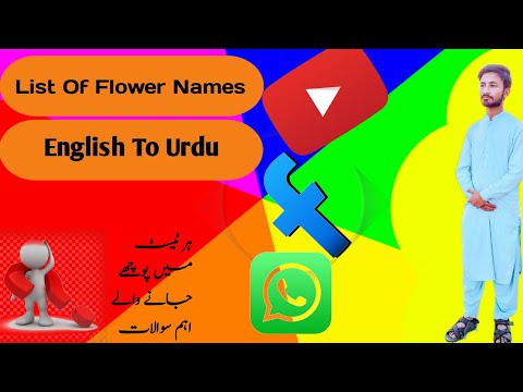 List Of Flower Names English To Urdu | flowers names
