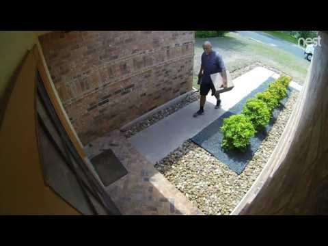 Fedex delivery for Chewy.com
