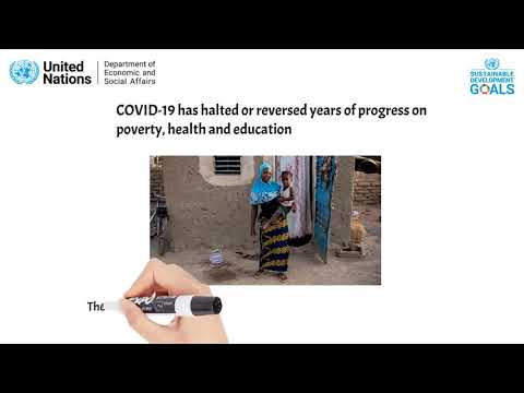 Sustainable Development Goals Report 2021