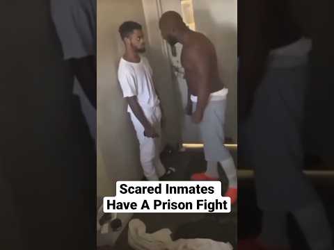 Scared Inmates Have A Prison Fight π³π #comedy #jail #fight #dscottgottalent