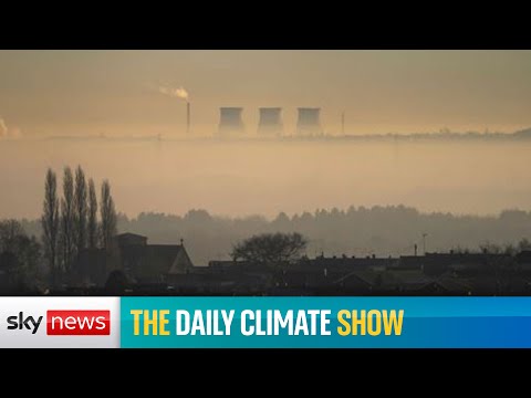 Government told to end biomass subsidies