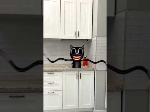 cartoon cat kidnapped me