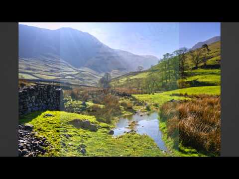 The History of English: Beginnings