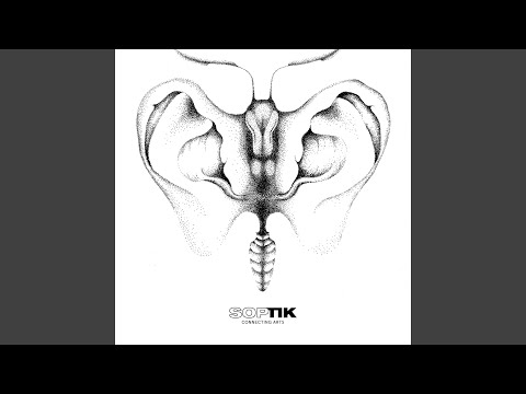 Genetic Drift I (Original Mix)