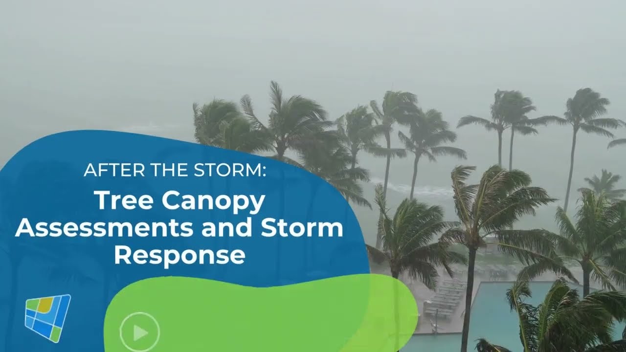 Tree Canopy Assessments and Hurricanes (Webinar Clip)