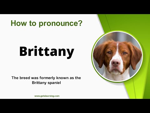 How to pronounce Brittany Correctly in English