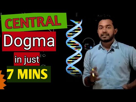 Central Dogma of molecular biology | in hindi | neet2020 | biology