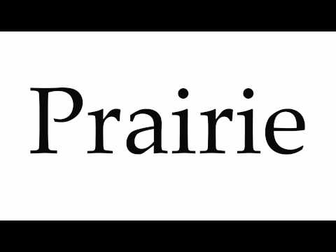 How to Pronounce Prairie