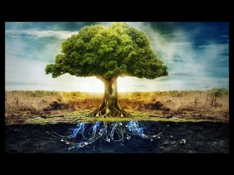 Metanarrative