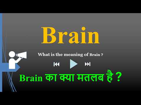 Brain meaning in Hindi | Brain ka kya matlab hota hai | daily use English words