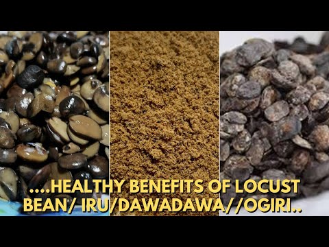 Healthy Benefits Of Locust Bean Over Maggi