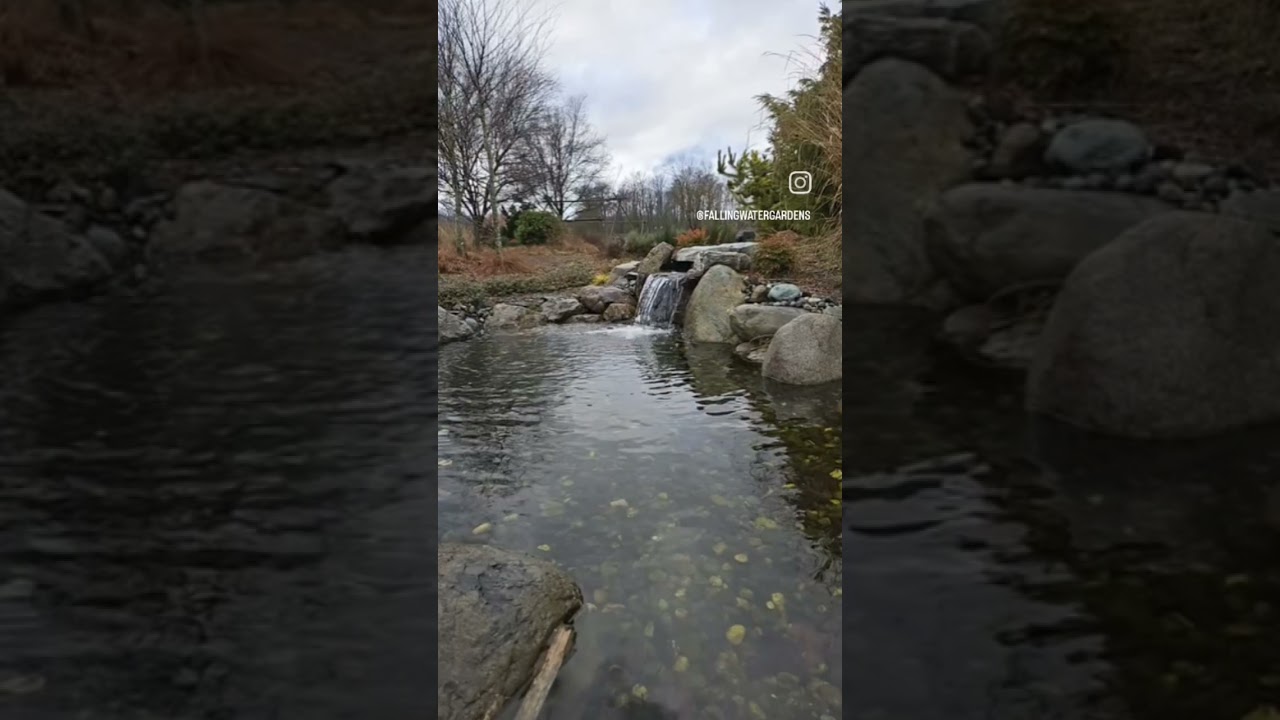 The many Waterfalls at Falling Water Gardens 💧 #gardenpond #Ponds #Waterfalls #gardening