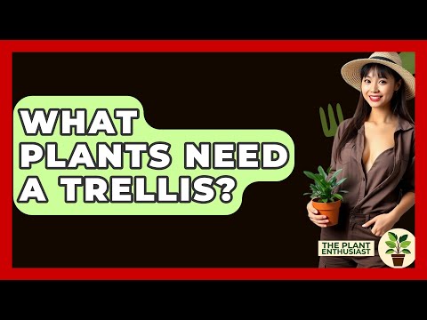 What Plants Need A Trellis? - The Plant Enthusiast
