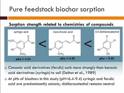 Effect of Biochar on the Fate and Behavior of Allelochemicals in Soil