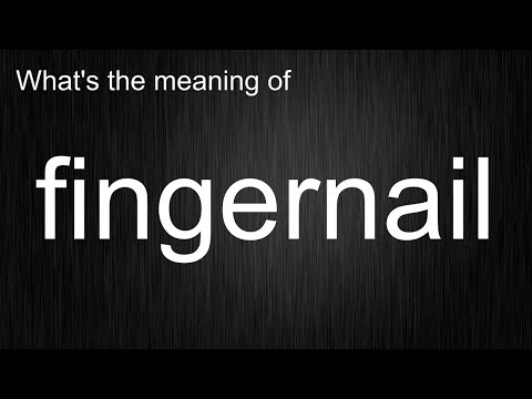What's the meaning of "fingernail", How to pronounce fingernail?