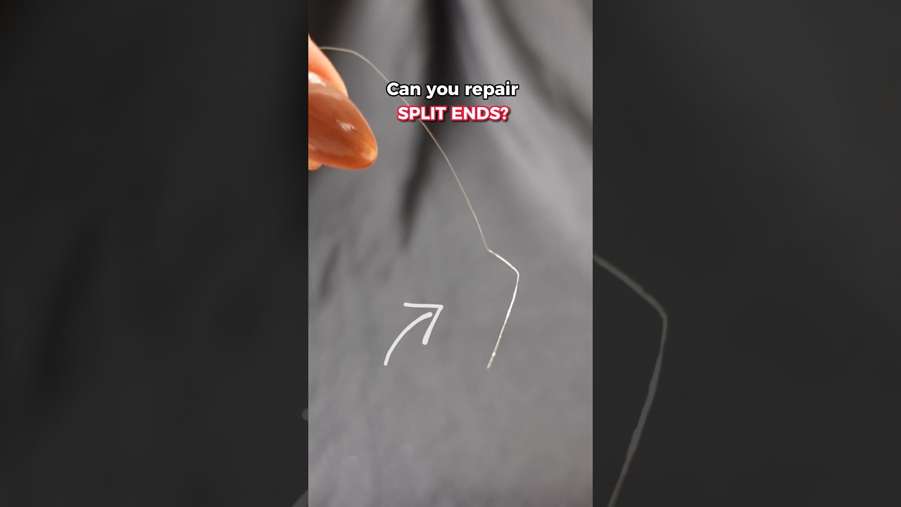 Don't let split ends ruin your hair! Repair them now, or risk permanent damage! #hair #splitends