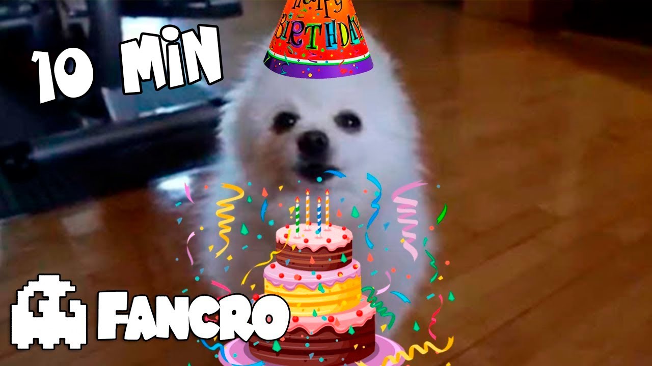 HAPPY BIRTHDAY - Dog version (10Min)