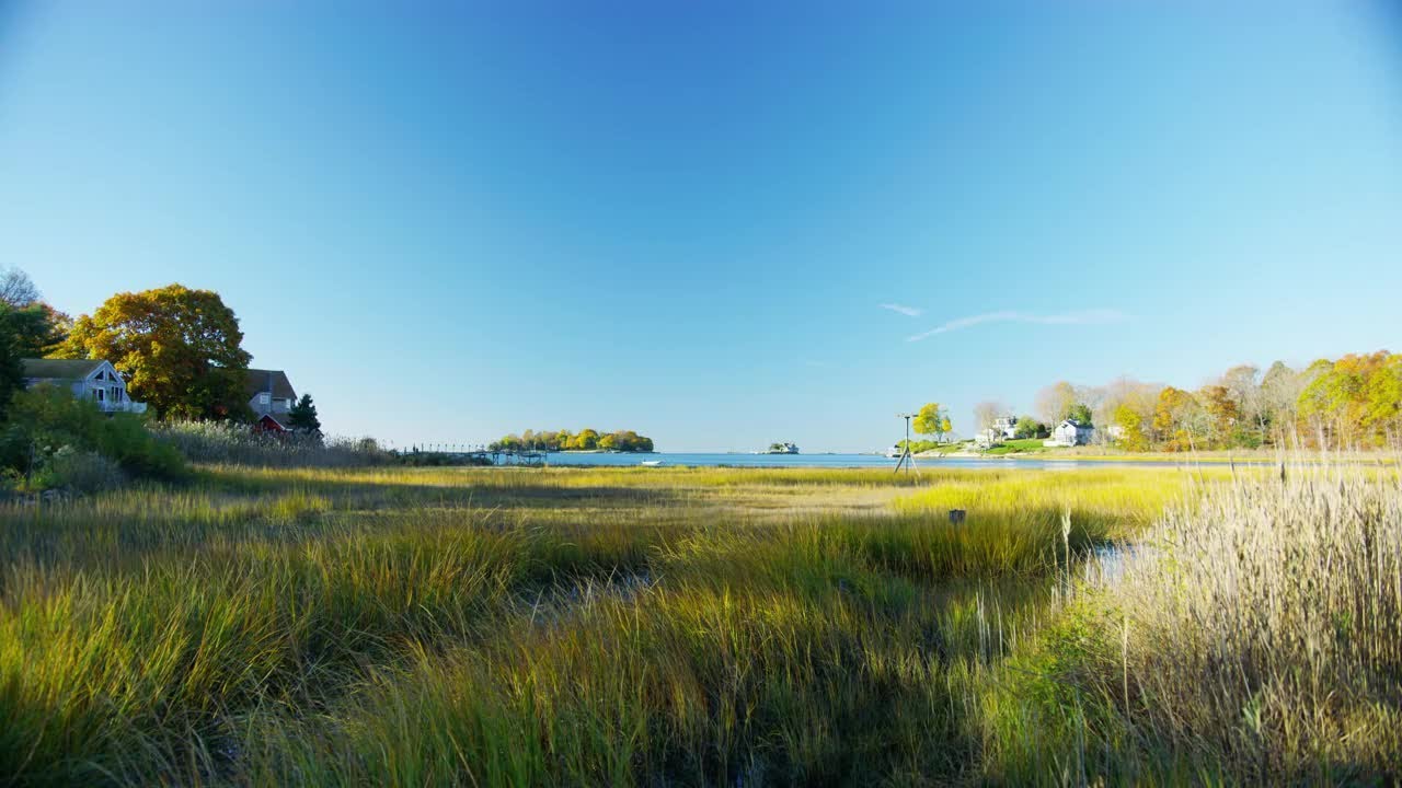 Rural Landscape Stock Video