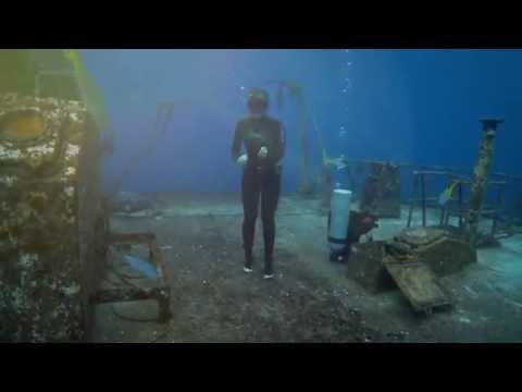 Conservationist Madison Stewart Stands Up For Sharks | Here & Now