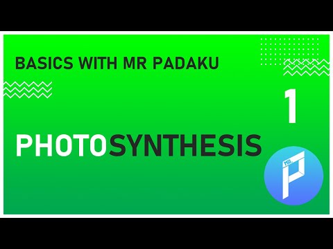 1 | PHOTOSYNTHESIS | Basics with Mr Padaku