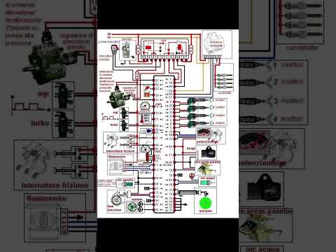 Ecu to sensor and actuator full wiring diagram