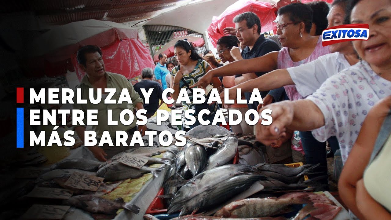 🔴🔵Cabrilla voladora, merluza y caballa entre los pescados más baratos en terminal pesquero