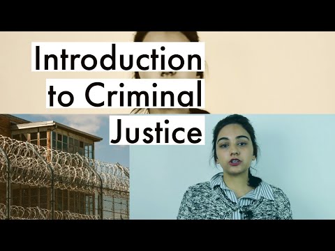 Introduction to Criminal Justice