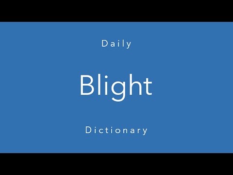 Blight (Daily Dictionary)