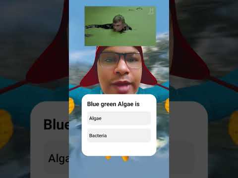 Is blue green algae an algae or Bacteria? #neet2026 #biology #lifescience #neet #drvikashbhardwaj
