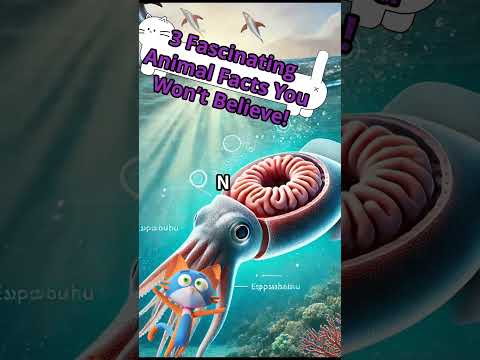 3 Fascinating Animal Facts You Wonβt Believe! #shorts