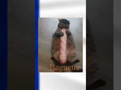 Baguette #france#meme#funny#cat#jokes