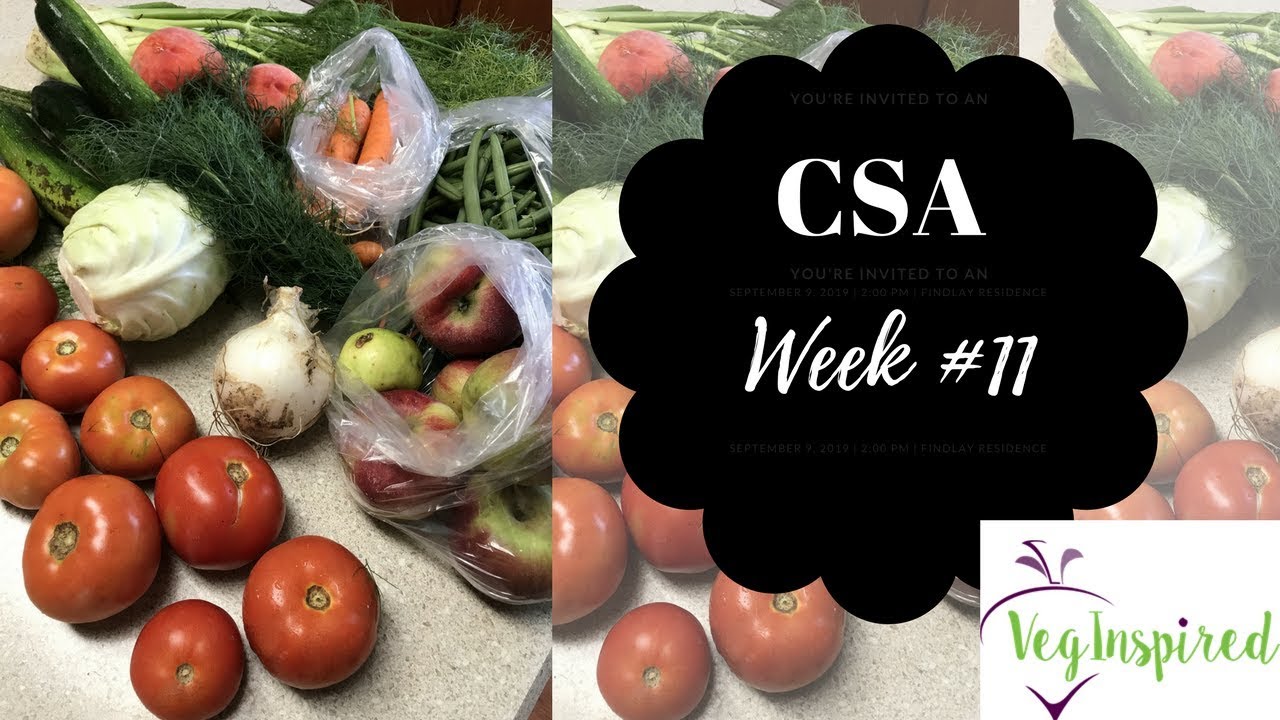 CSA Week 11