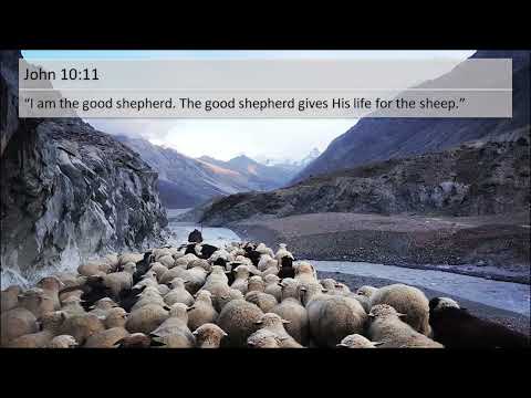 WHO DO YOU LISTEN TO? Jesus Introduces Himself As The Good Shepherd--Are You Listening To Him?